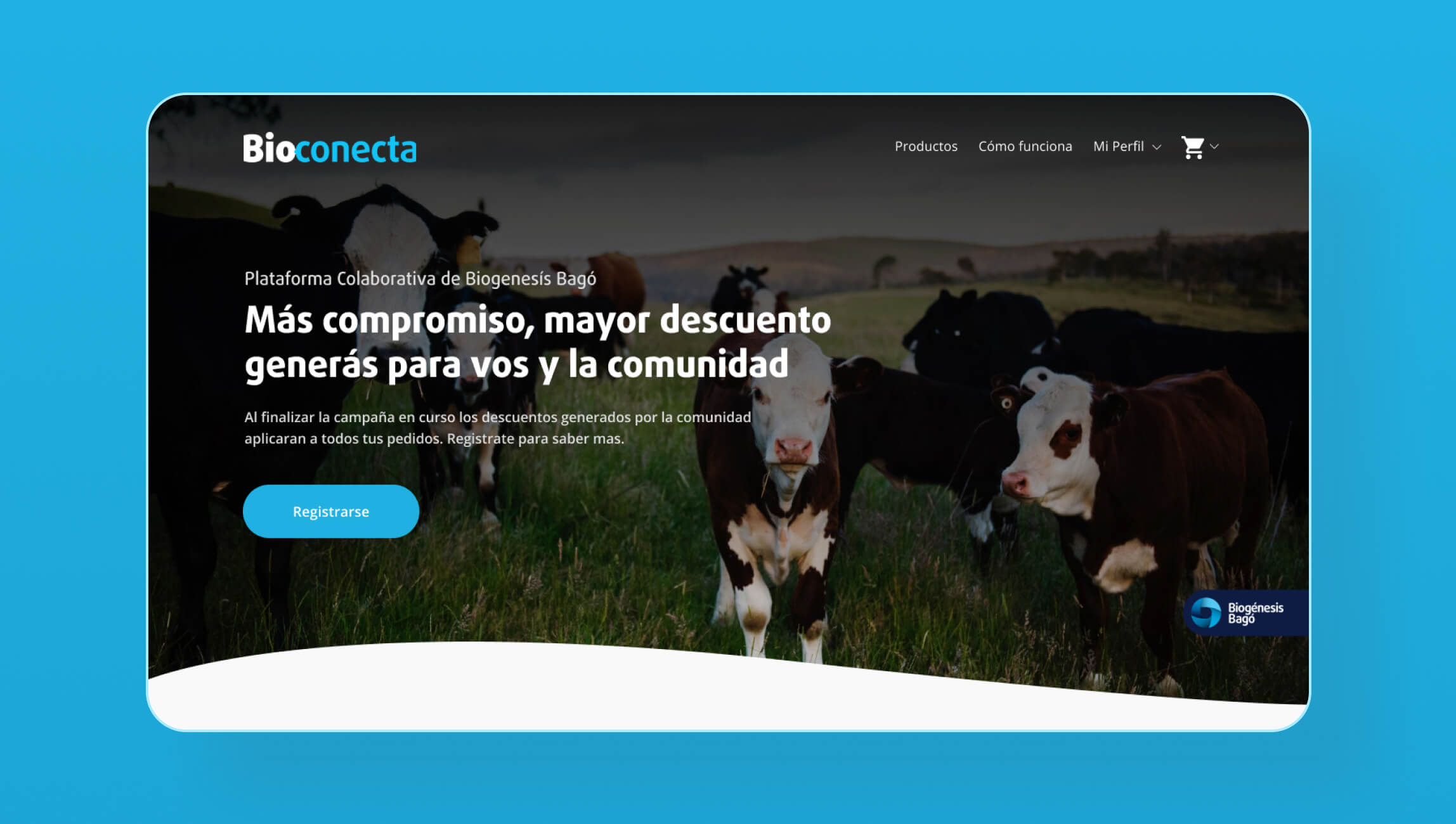 Bioconecta Case Study - White Canvas