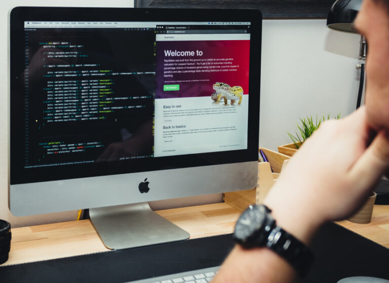 How to export Figma to WordPress? - White Canvas