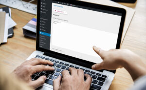 WordPress robots.txt guide: what it is and how to use it. - White Canvas