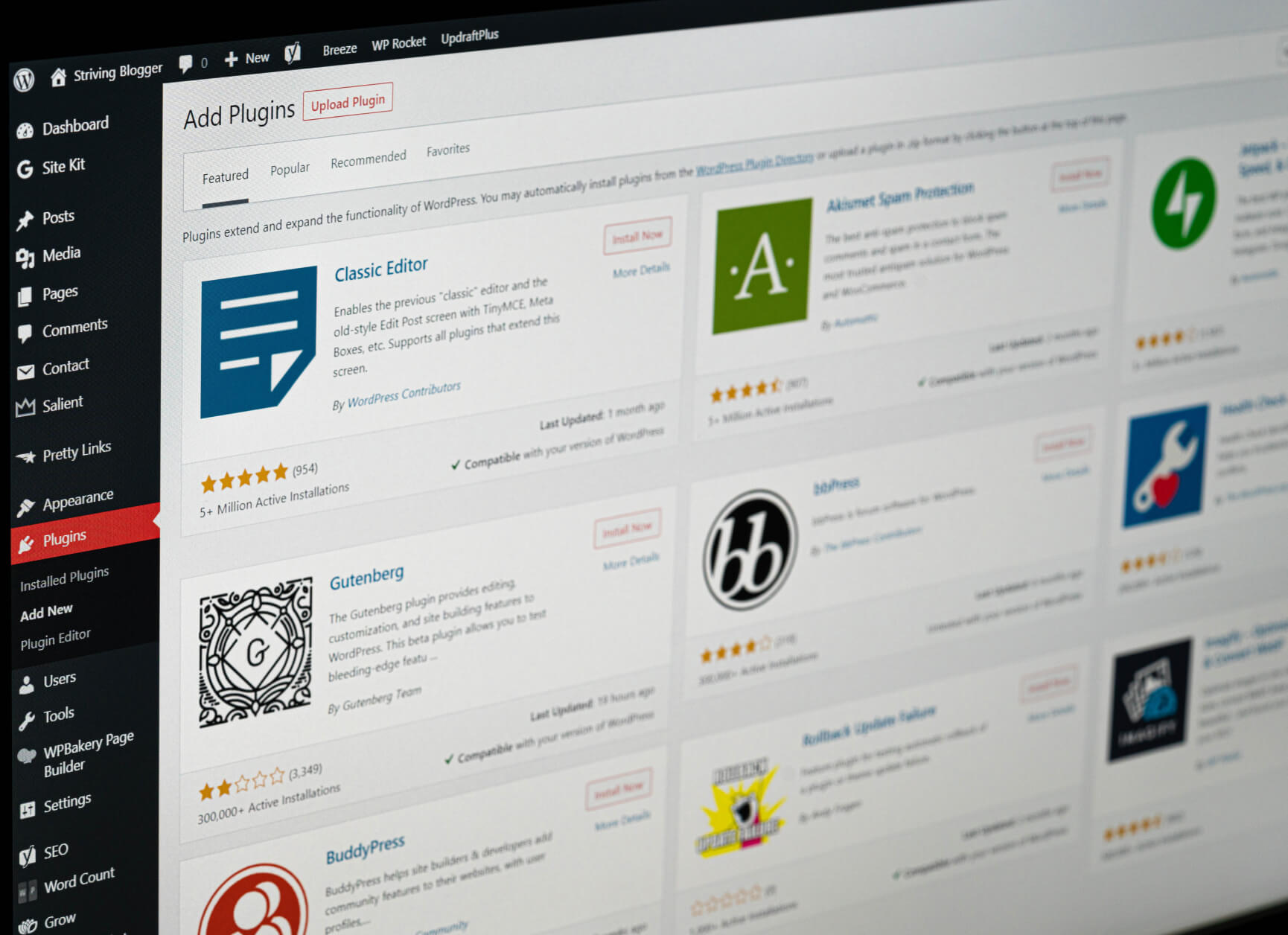 How safe is WordPress? What you need to know in 2024 - White Canvas