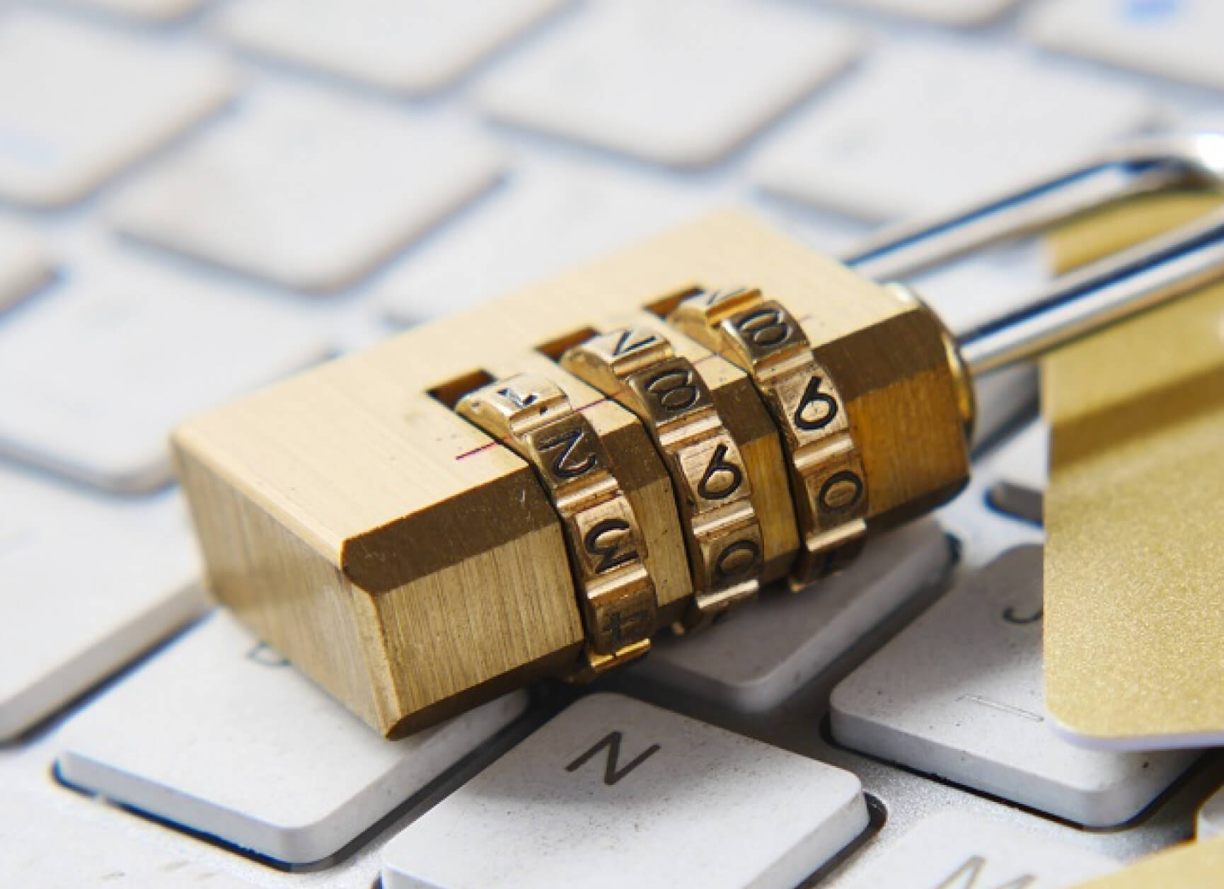 How to secure WordPress? 12 basic security measures. - White Canvas