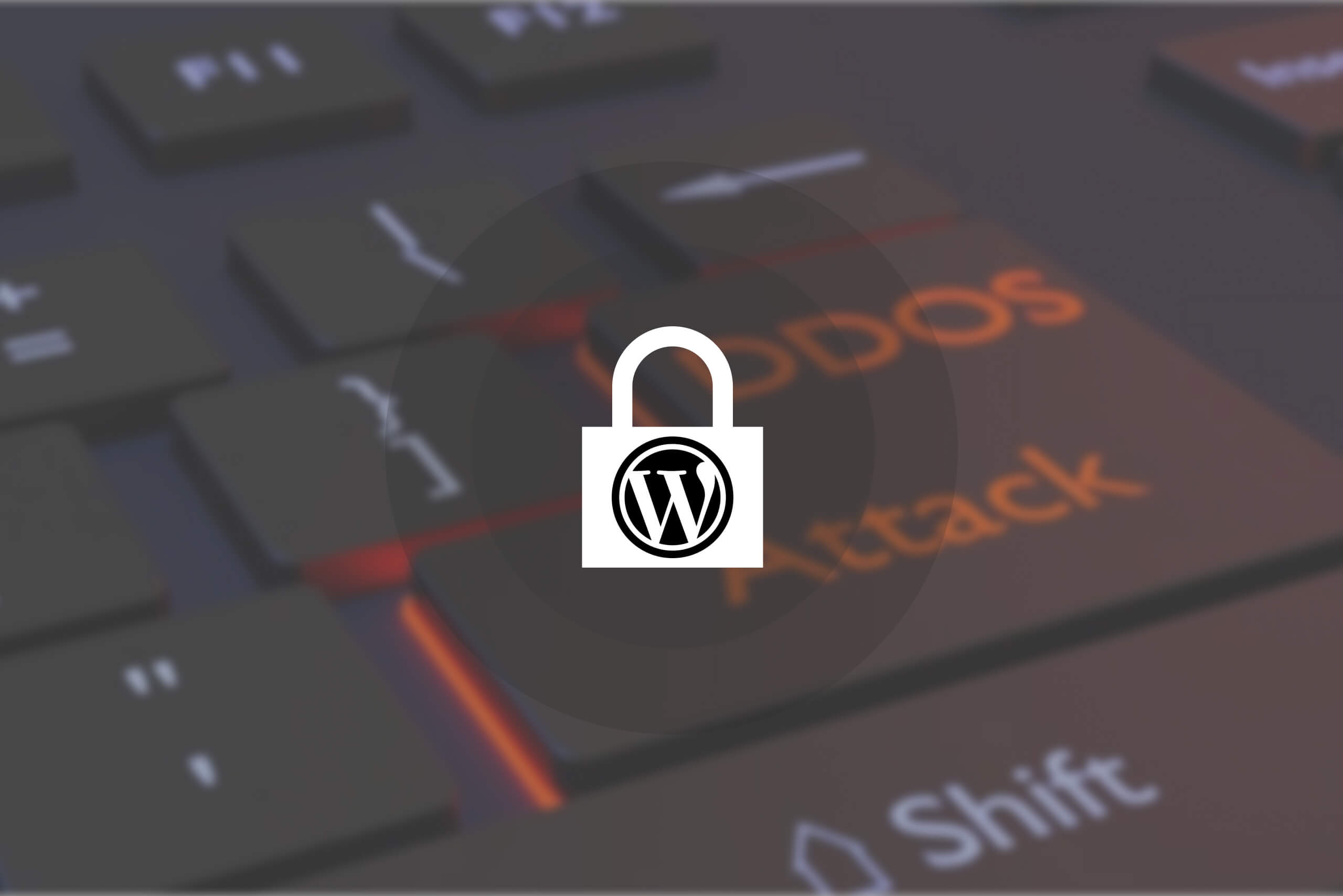 Wordpress Denial Of Service Dos Attacks How To Protect Your Website