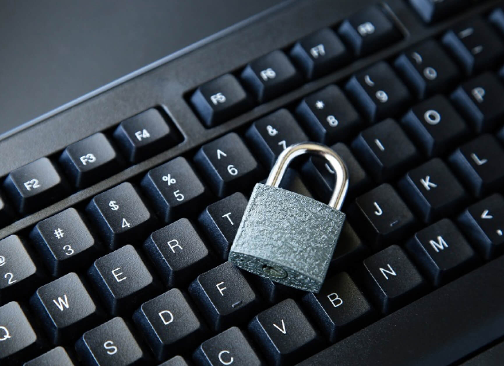 What to do if WordPress is hacked? - White Canvas