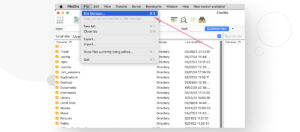How to Find Your WordPress Installation Path? - White Canvas