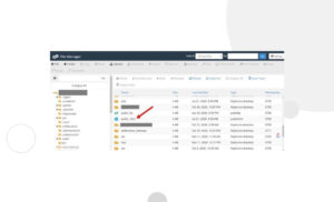 How to find your WordPress installation path? - White Canvas