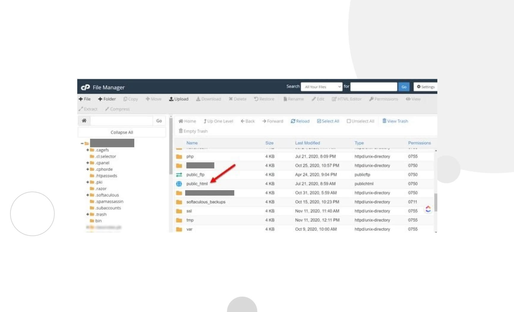 How to find your WordPress installation path? - White Canvas