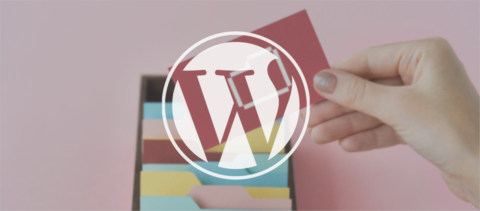 How to Find Your WordPress Installation Path? - White Canvas