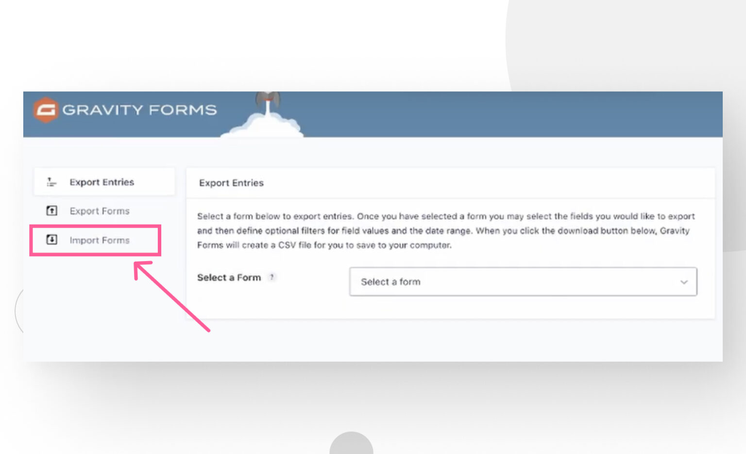 How to use Gravity Forms in headless WordPress with Next.js - White Canvas