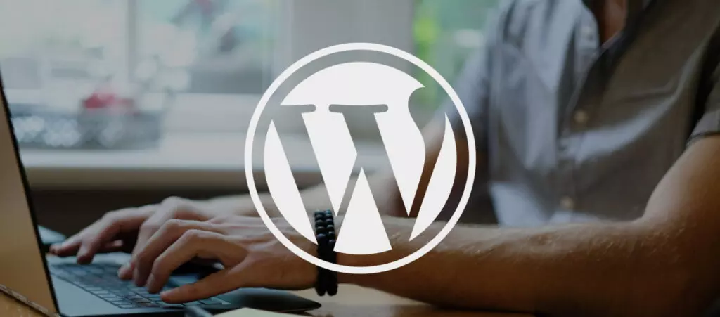 Headless WordPress and Next.js: benefits and setup - White Canvas