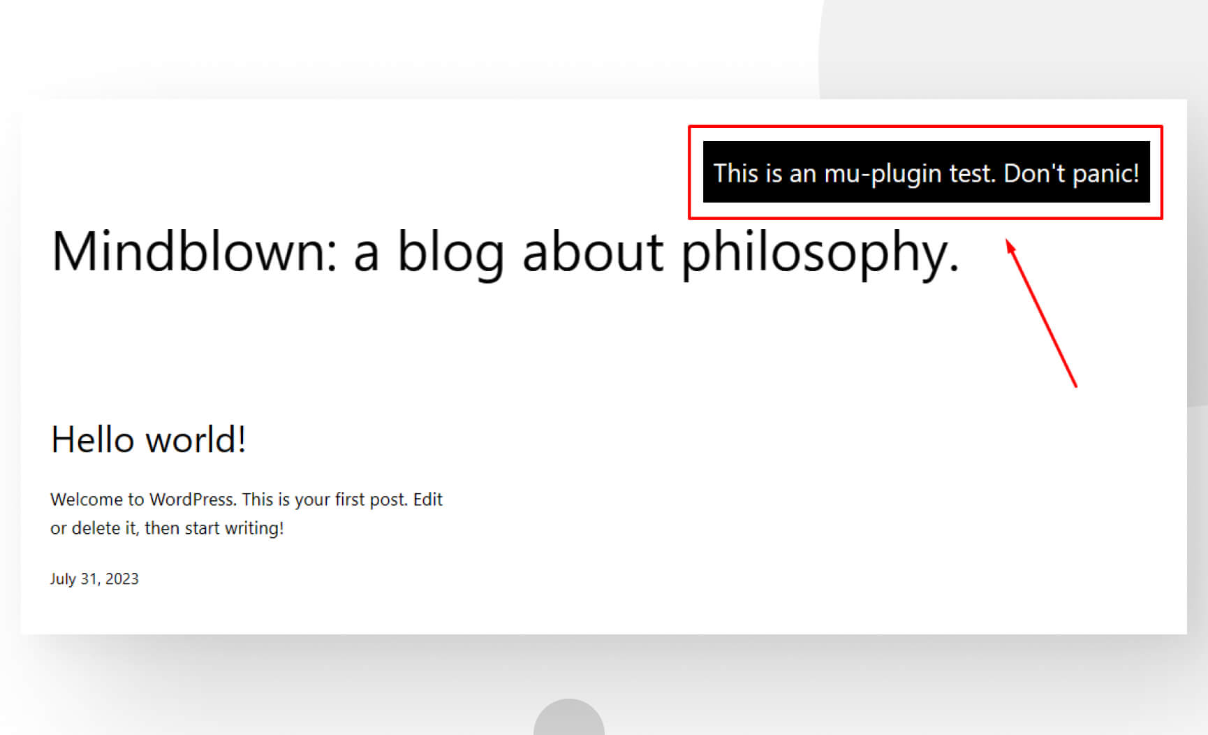 What are WordPress must-use plugins? - White Canvas