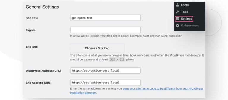 Wordpress Getoption Function What It Is And How To Use It White Canvas 1844