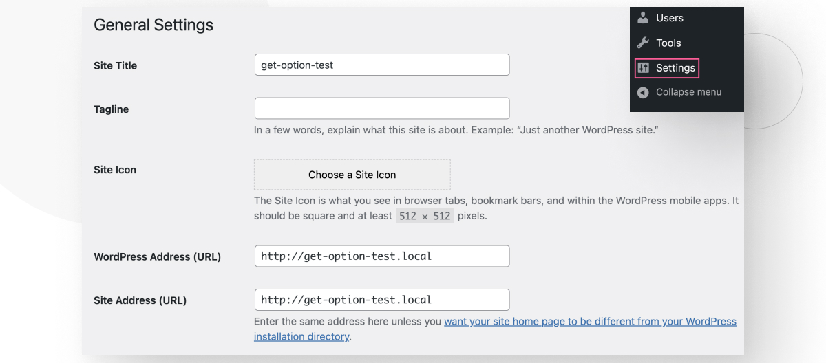 WordPress get_option Function: What it Is and How to Use it? - White Canvas
