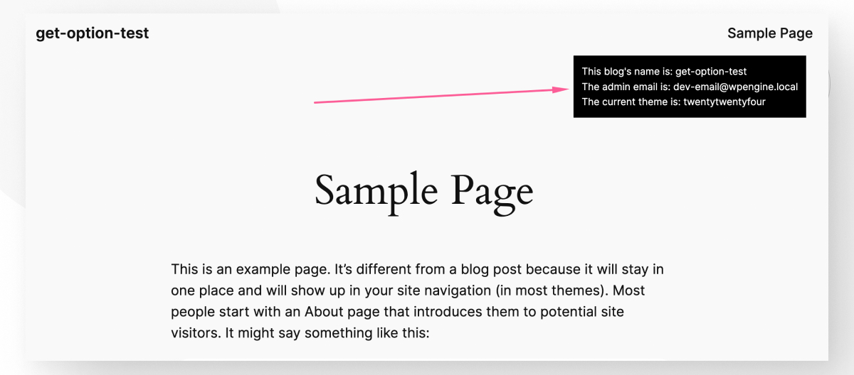 WordPress get_option Function: What it Is and How to Use it? - White Canvas