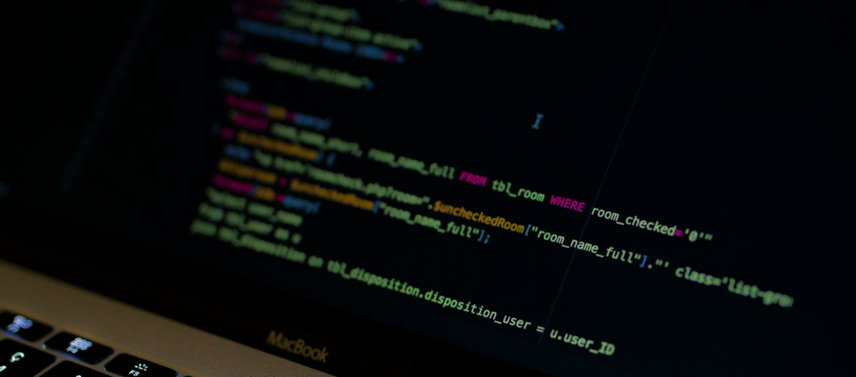 WordPress get_option Function: What it Is and How to Use it? - White Canvas