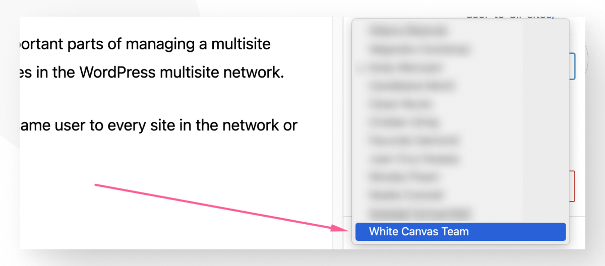 How to Hide the Author Name in WordPress Blog Posts - White Canvas