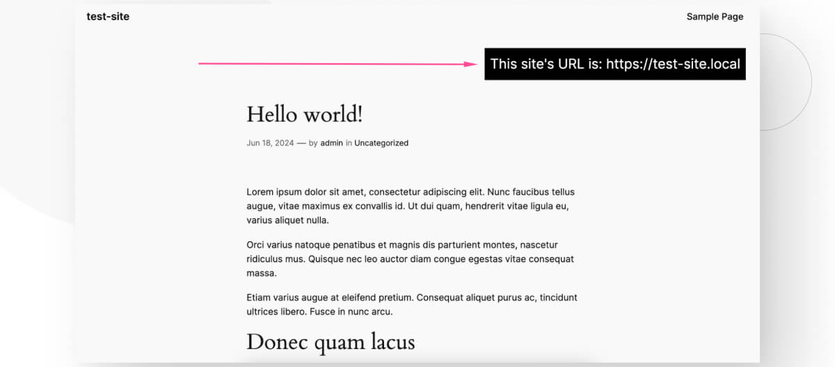 WordPress get_site_url function: What it Is and How to Use it - White Canvas