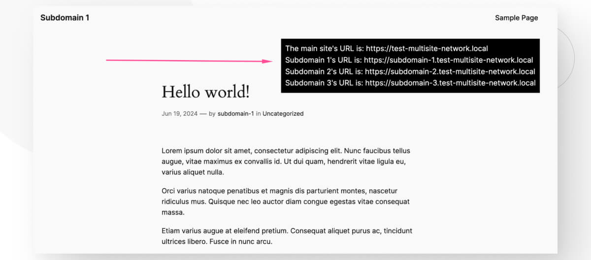 WordPress get_site_url function: What it Is and How to Use it - White Canvas