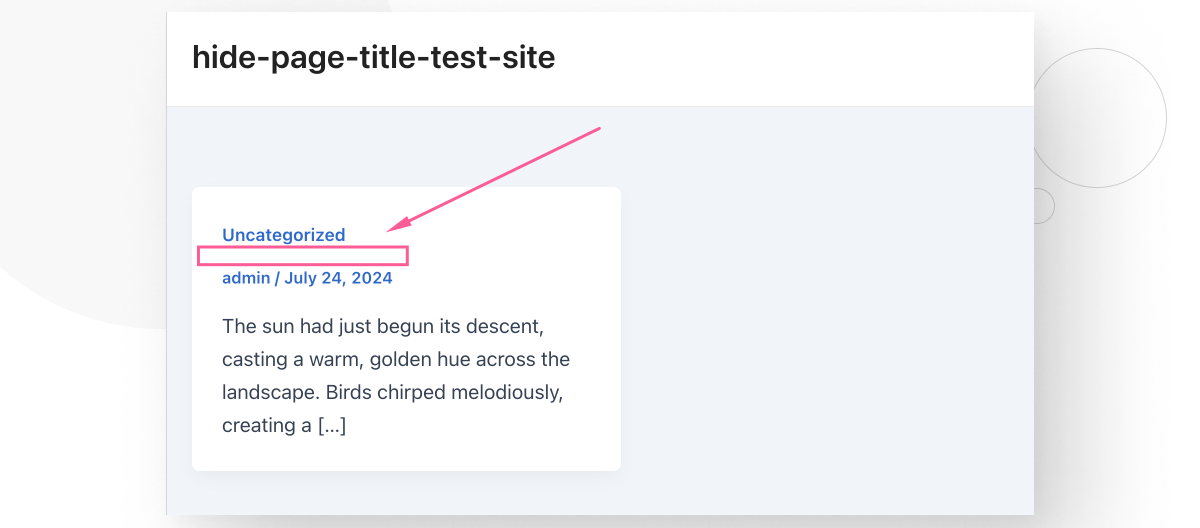 How to Hide the Page and Post Title in WordPress - White Canvas