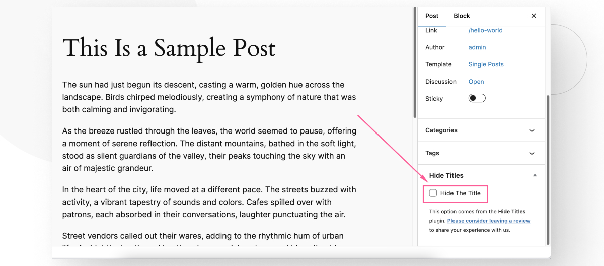 How to Hide the Page and Post Title in WordPress - White Canvas