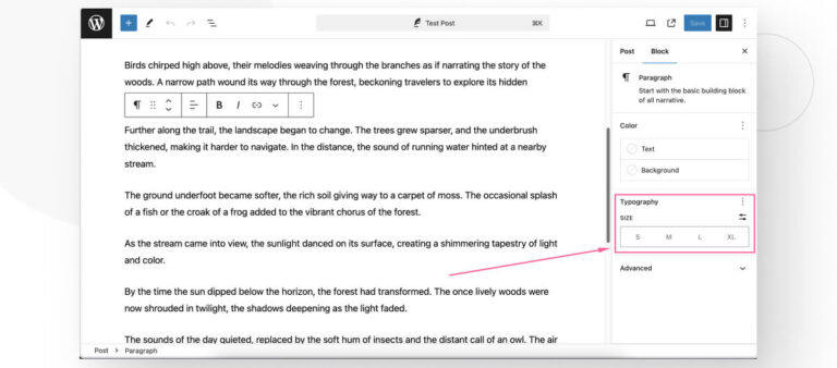 How to Increase Font Size in WordPress: 3 Easy Methods - White Canvas