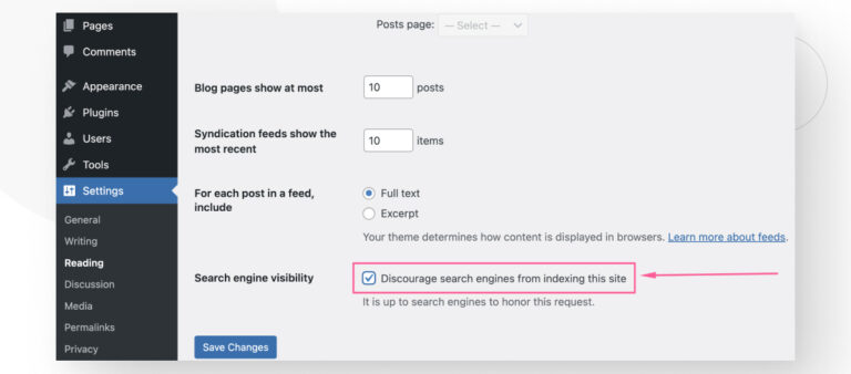 How to Disable Google Indexing on a WordPress Site - White Canvas