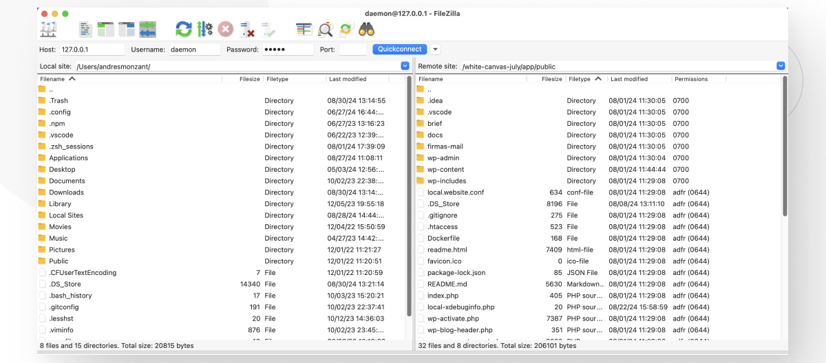 How to Disable Google Indexing on a WordPress Site - White Canvas