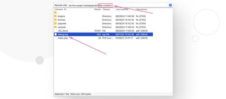 What to Do if Updating to PHP 8.1 Crashes Your WordPress Site? - White Canvas