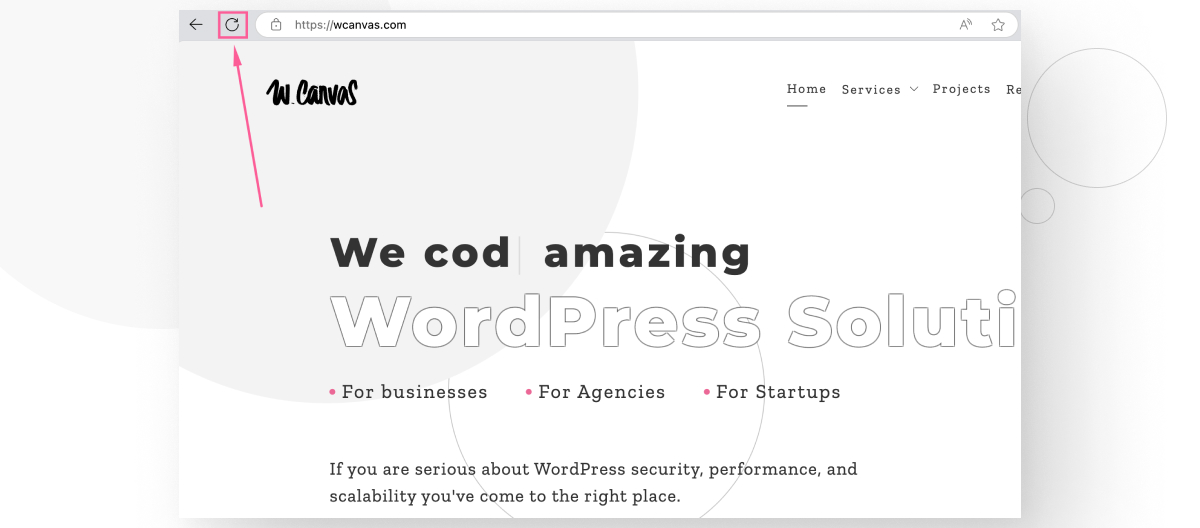 What to Do if Updating to PHP 8.1 Crashes Your WordPress Site? - White Canvas